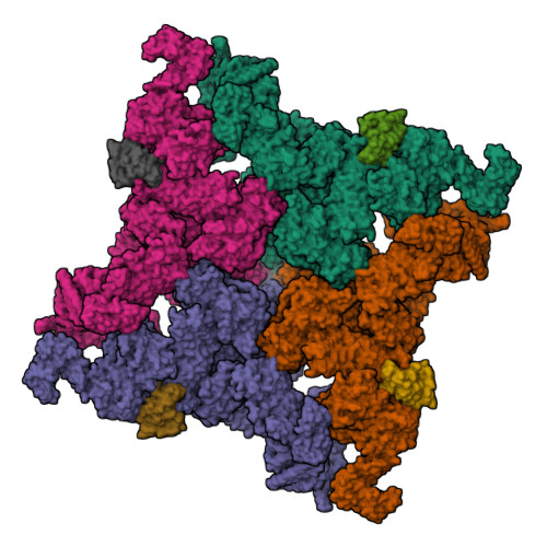 RCSB PDB - 7VML: Structure of recombinant RyR2 (EGTA dataset, class 1&2 ...