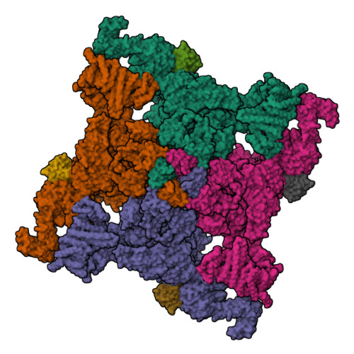 RCSB PDB - 7VMN: Structure of recombinant RyR2 (EGTA dataset, class 2 ...