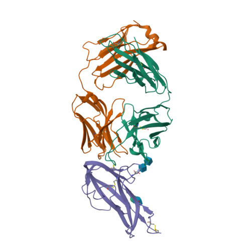RCSB PDB - 7VN9: Crystal structure of human coronavirus 229E spike ...