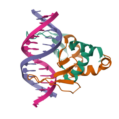 RCSB PDB - 7VP4: Structure of a transcription factor and DNA complex