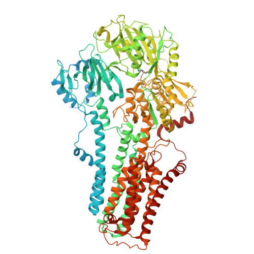 RCSB PDB - 7VPI: Cryo-EM structure of the human ATP13A2 (E1-ATP state)