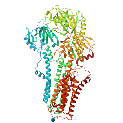 RCSB PDB - 7VPJ: Cryo-EM structure of the human ATP13A2 (E1P-ADP state)