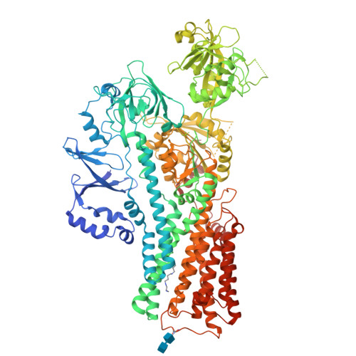 RCSB PDB - 7VPK: Cryo-EM structure of the human ATP13A2 (SPM-bound E2P ...