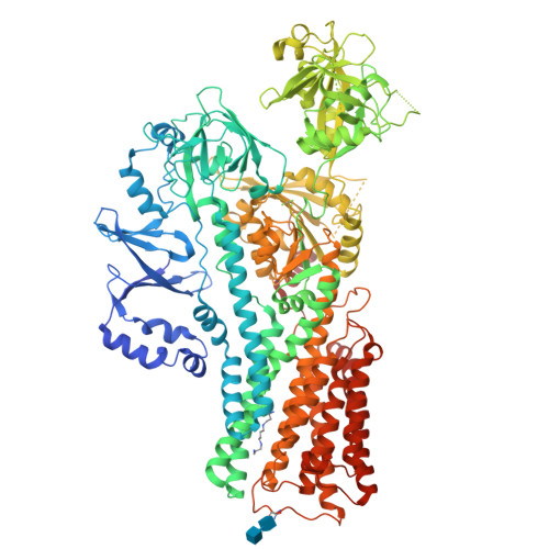 RCSB PDB - 7VPL: Cryo-EM structure of the human ATP13A2 (SPM-bound E2Pi ...