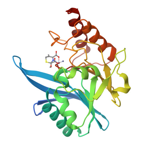 RCSB PDB - 7VQJ: Crystal structure of NDM-1 in complex with hydrolyzed 1u.