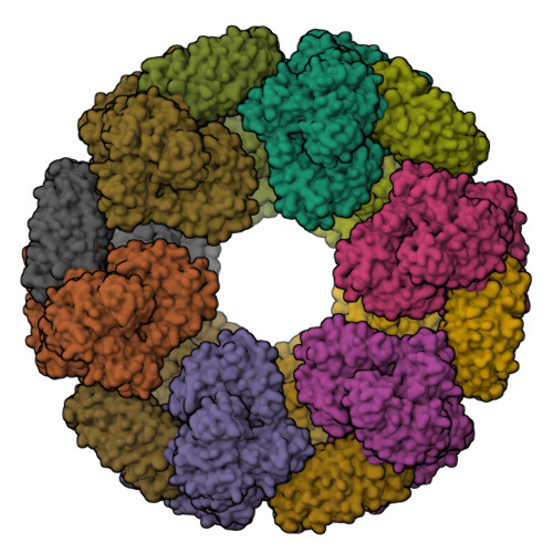 RCSB PDB - 7VTQ: Cryo-EM structure of mouse NLRP3 (full-length) dodecamer