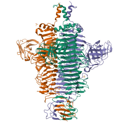 RCSB PDB - 7VUL: Structure of Klebsiella Phage P560 depolymerase