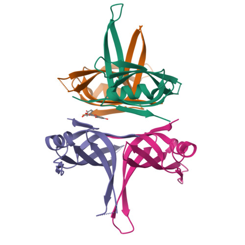 RCSB PDB - 7VUM: Crystal structure of SSB complexed with que