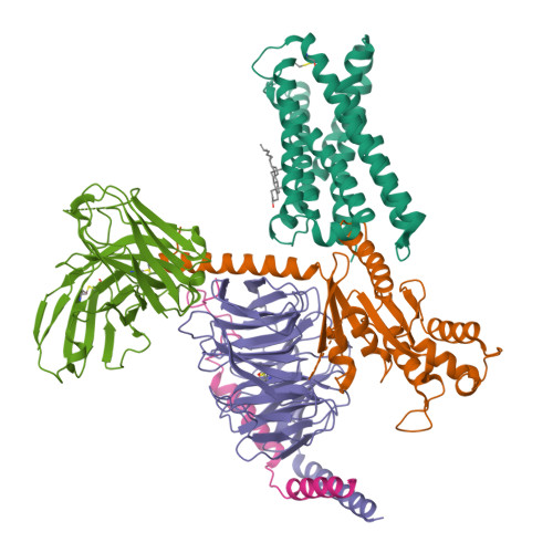 RCSB PDB - 7VUY: Cryo-EM structure of pseudoallergen receptor MRGPRX2 ...