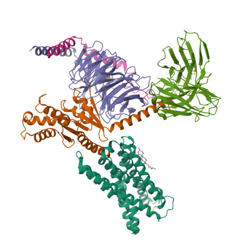 RCSB PDB - 7VUZ: Cryo-EM structure of pseudoallergen receptor MRGPRX2 ...