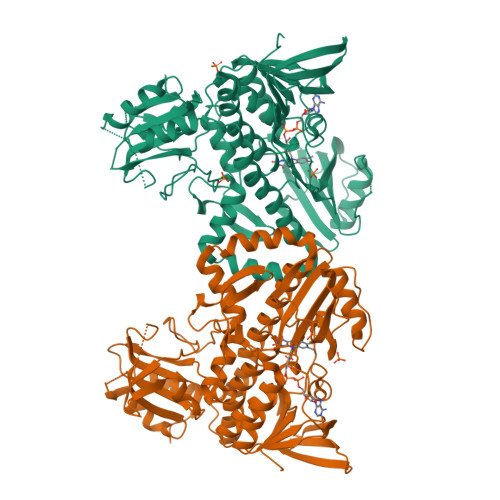 RCSB PDB - 7VWP: Structure of the flavin-dependent monooxygenase FlsO1 ...