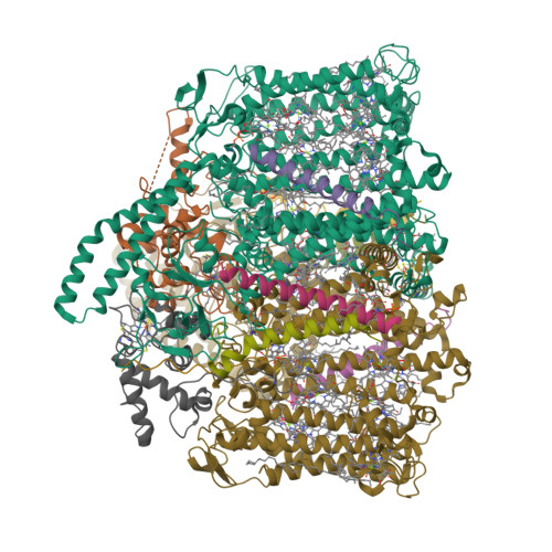 RCSB PDB - 7VZR: Structure of the Acidobacteria homodimeric reaction ...