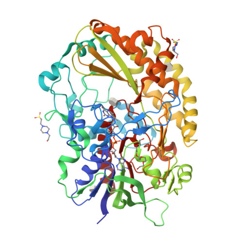 RCSB PDB - 7VZS: FAD-dpendent Glucose Dehydrogenase complexed with an ...