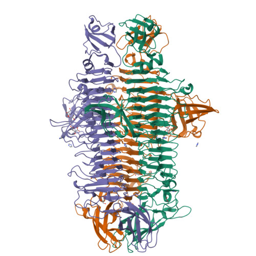 RCSB PDB - 7W1C: Crystal structure of Klebsiella pneumoniae K1 capsule ...