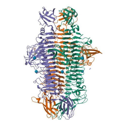 RCSB PDB - 7W1E: Crystal structure of Klebsiella pneumoniae K1 capsule ...