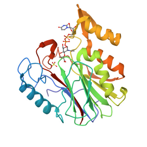 RCSB PDB - 7W1G: Crystal structure of YfiH with C107A mutation in ...