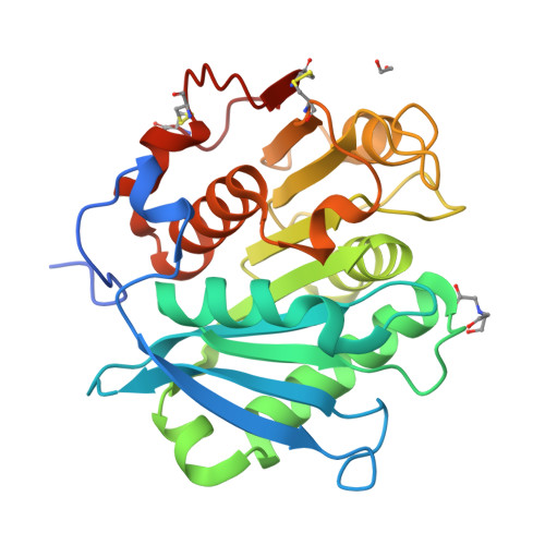 RCSB PDB - 7W1N: Complex structure of a leaf-branch compost cutinase ...