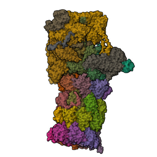 RCSB PDB - 7W3I: Structure of USP14-bound human 26S proteasome in ...