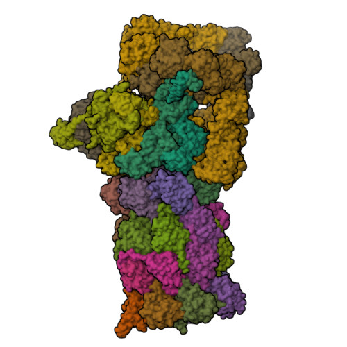 RCSB PDB - 7W3J: Structure of USP14-bound human 26S proteasome in ...