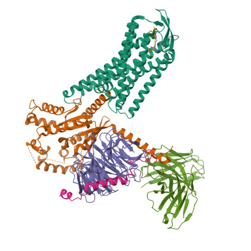 RCSB PDB - 7W40: Cryo-EM Structure of Human Gastrin Releasing Peptide ...