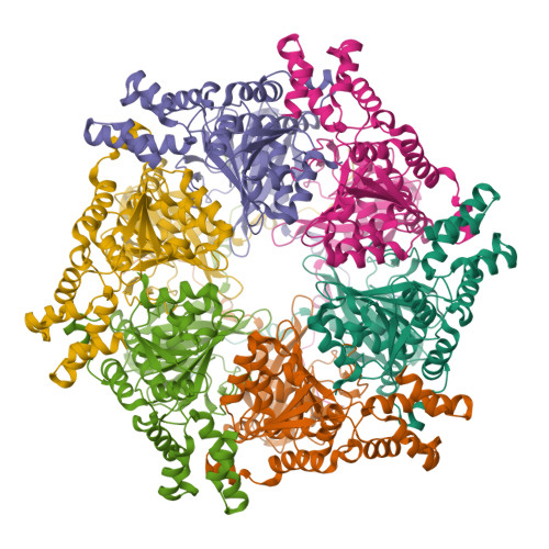 RCSB PDB - 7W42: Crystal structure of Bacillus subtilis YjoB