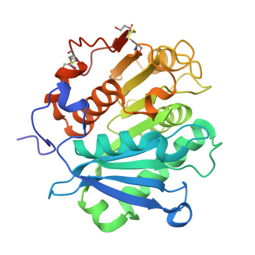 RCSB PDB - 7W44: Complex structure of a leaf-branch compost cutinase ...