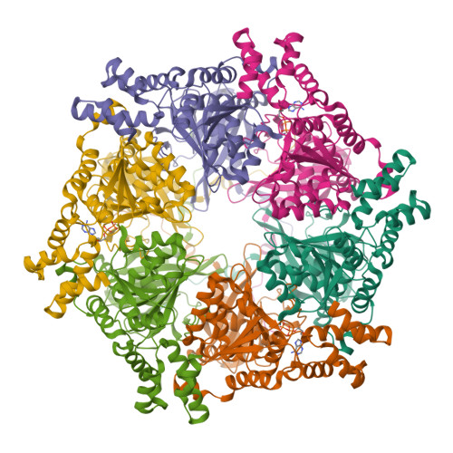 RCSB PDB - 7W46: Crystal structure of Bacillus subtilis YjoB with ADP