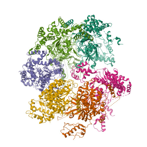RCSB PDB - 7W68: human single hexameric Mcm2-7 complex