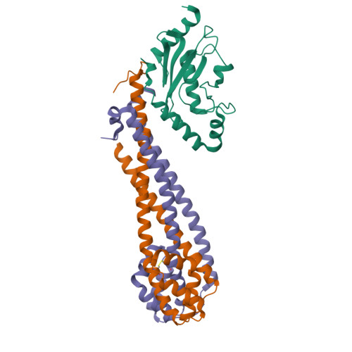 RCSB PDB - 7W75: Crystal structure of the K. lactis Bre1 RBD in complex ...