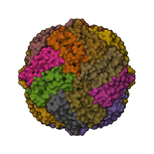 RCSB PDB - 7W7J: Crystal structure of IrCp* immobilized apo-R52H-rHLFr ...