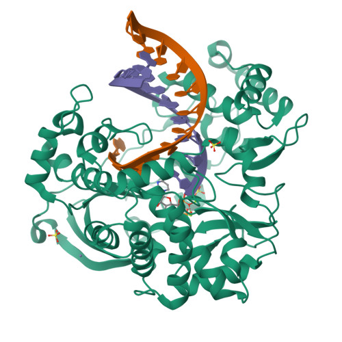 RCSB PDB - 7W9S: Crystal structure of the enterovirus 71 polymerase ...