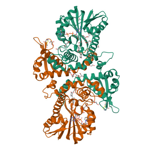 RCSB PDB - 7WAR: SbSOMT in complex with pinostilbene and nicotinamide ...
