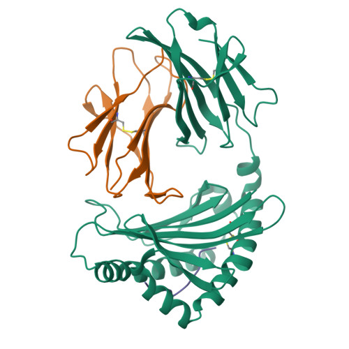 RCSB PDB - 7WBI: BF2*1901-FLU