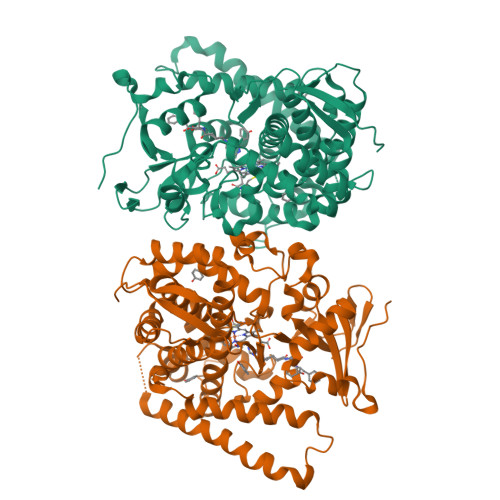 RCSB PDB - 7WDG: Crystal structure of the P450 BM3 heme domain mutant ...