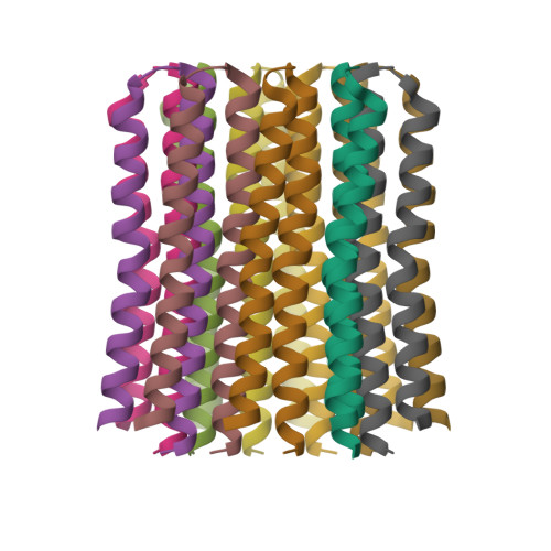 RCSB PDB - 7WEM: Solid-state NMR Structure of TFo c-Subunit Ring
