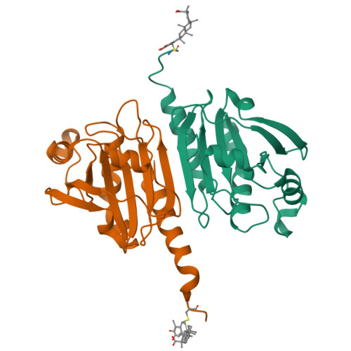 RCSB PDB - 7WET: Crystal structure of Peroxiredoxin I in complex with ...