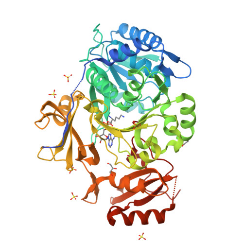 RCSB PDB - 7WEW: Structure of adenylation domain of epsilon-poly-L ...
