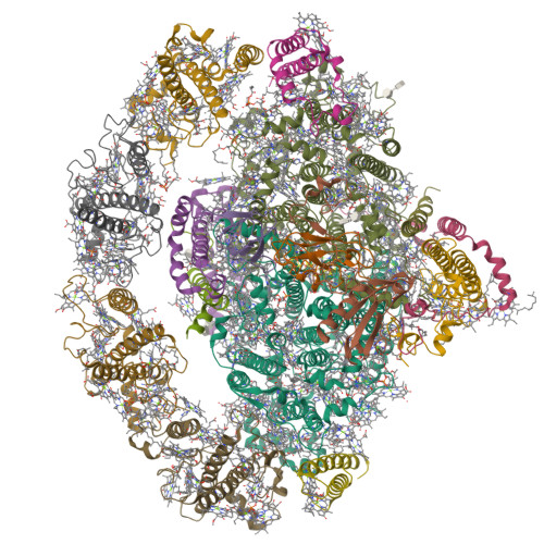 RCSB PDB - 7WFE: Right PSI in the cyclic electron transfer supercomplex ...