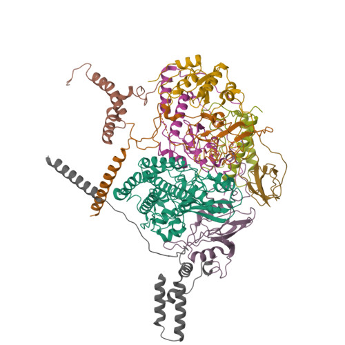 RCSB PDB - 7WFG: Subcomplexes A and E in NDH complex from Arabidopsis