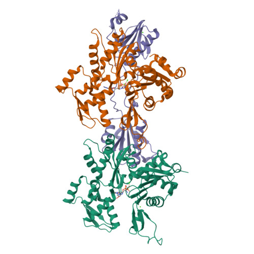 RCSB PDB - 7WHG: Lokiarchaeota gelsolin (2DGel) bound to two molecules ...