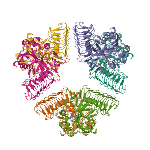 RCSB PDB - 7WHS: Cryo-EM Structure of Leishmanial GDP-mannose ...