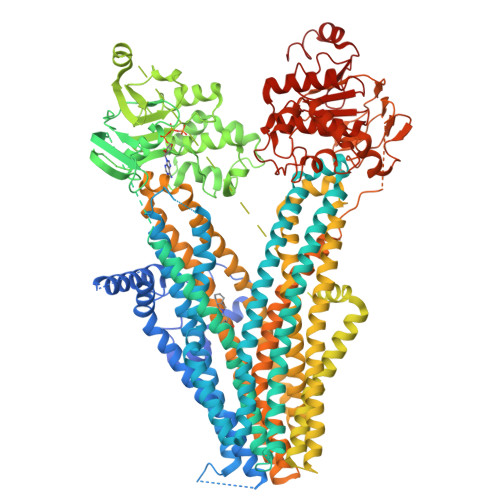 RCSB PDB - 7WIT: Structure of SUR1 in complex with mitiglinide