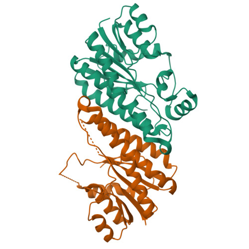 RCSB PDB - 7WKQ: Crystal Structure of halohydrin dehalogenase from ...