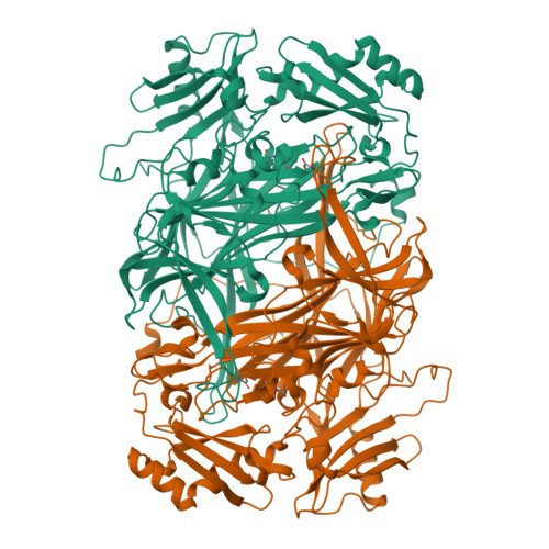 RCSB PDB - 7WNP: Crystallographic structure of copper amine oxidase ...