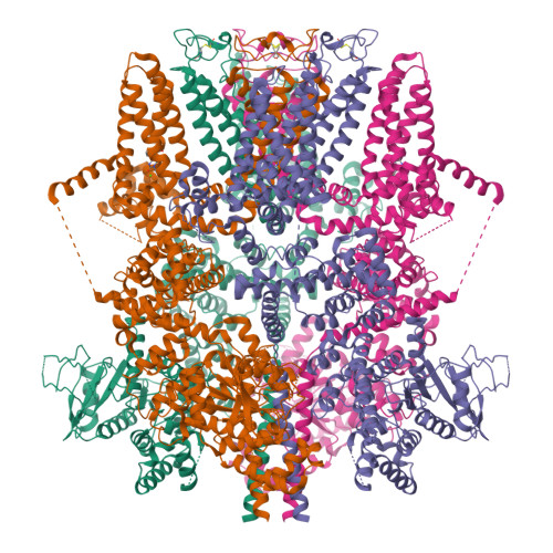RCSB PDB - 7WRD: Mouse TRPM8 in LMNG in the presence of calcium and icilin