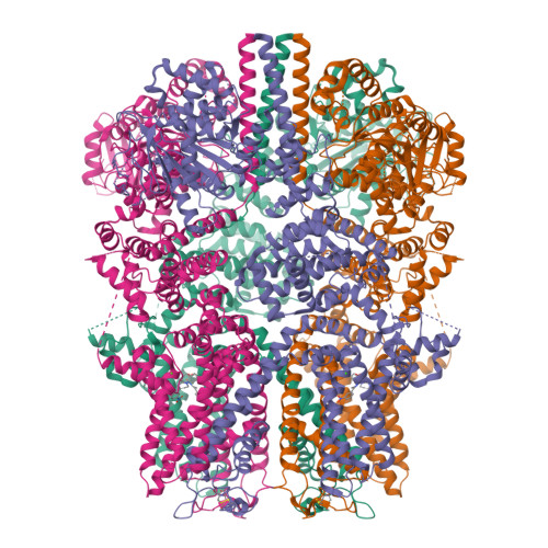 RCSB PDB - 7WRE: Mouse TRPM8 in lipid nanodiscs in the presence of ...
