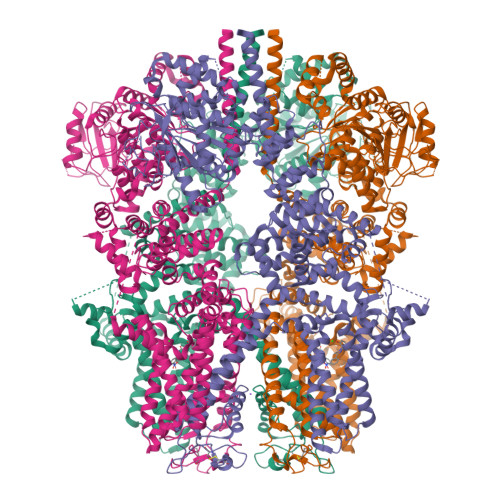 RCSB PDB - 7WRF: Mouse TRPM8 in lipid nanodiscs in the presence of ...