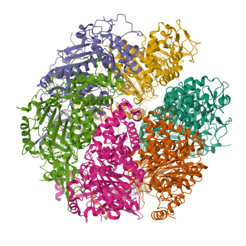 RCSB PDB - 7WRW: Structure of Deinococcus radiodurans HerA