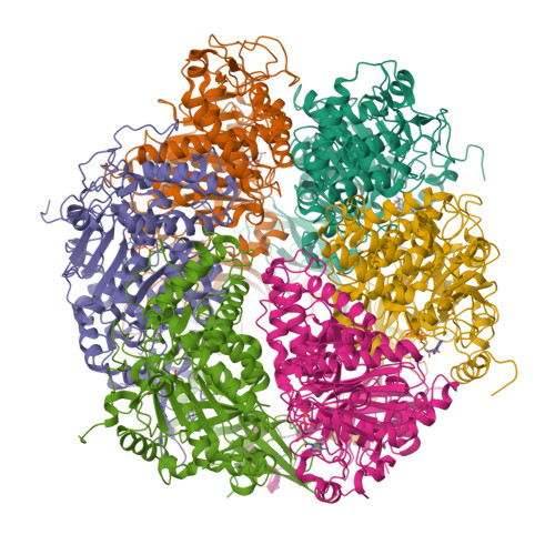 RCSB PDB - 7WRX: Structure of Deinococcus radiodurans HerA-ADP complex