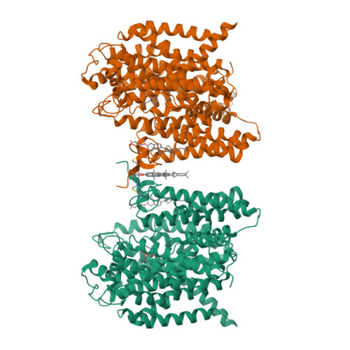 RCSB PDB - 7WSU: Cryo-EM structure of the barley Yellow stripe 1 ...
